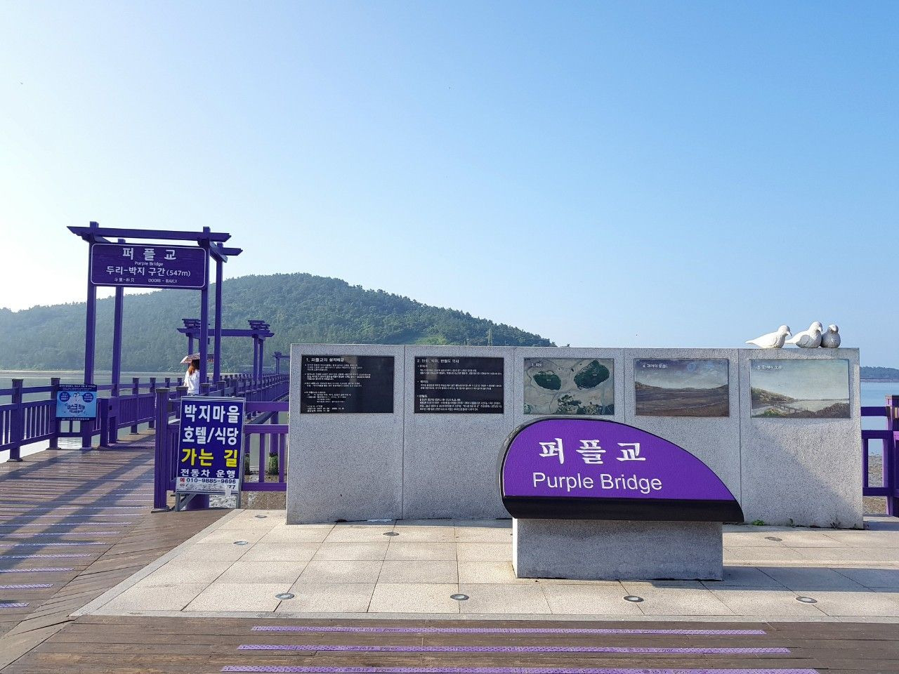 전남 신안군 퍼플섬 반월도와 박지도 퍼플교 입장료 및 무료입장 방법 주차정보
