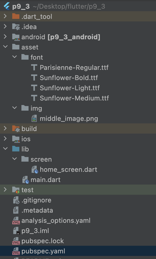 [Flutter] Font Setting (pubspec.yaml)