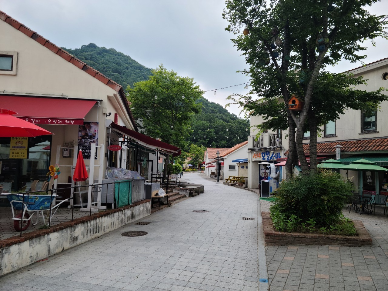 담양 가볼만한곳 메타세콰이어길 메타프로방스 담양 드라이브코스