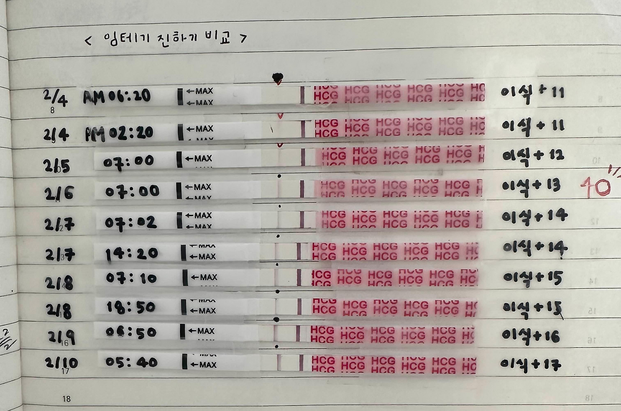 시험관 시술 3일 신선배아 이식 1차 피검사 후 피비침 2차 피검사 결과 더블링 성공