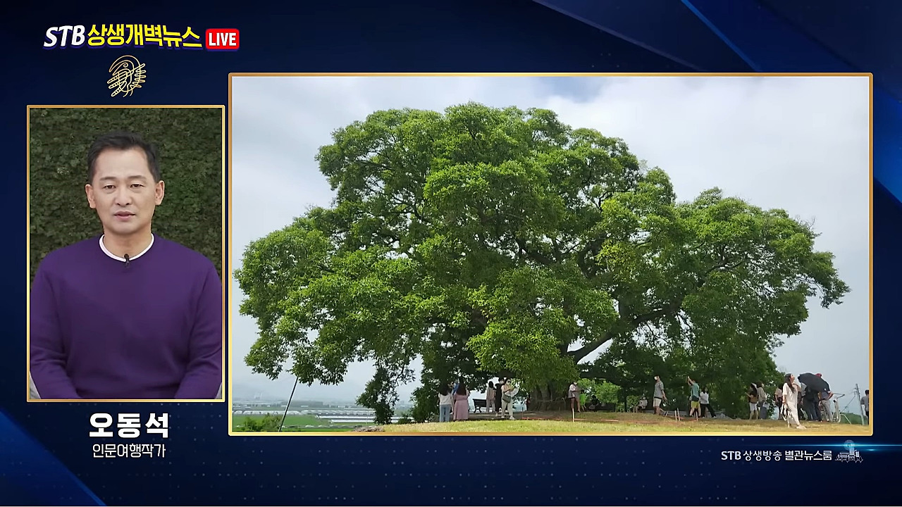 동양과 서양의 신단수 문화, 진시황과 봉래 방장 영주 삼신산의 불로초