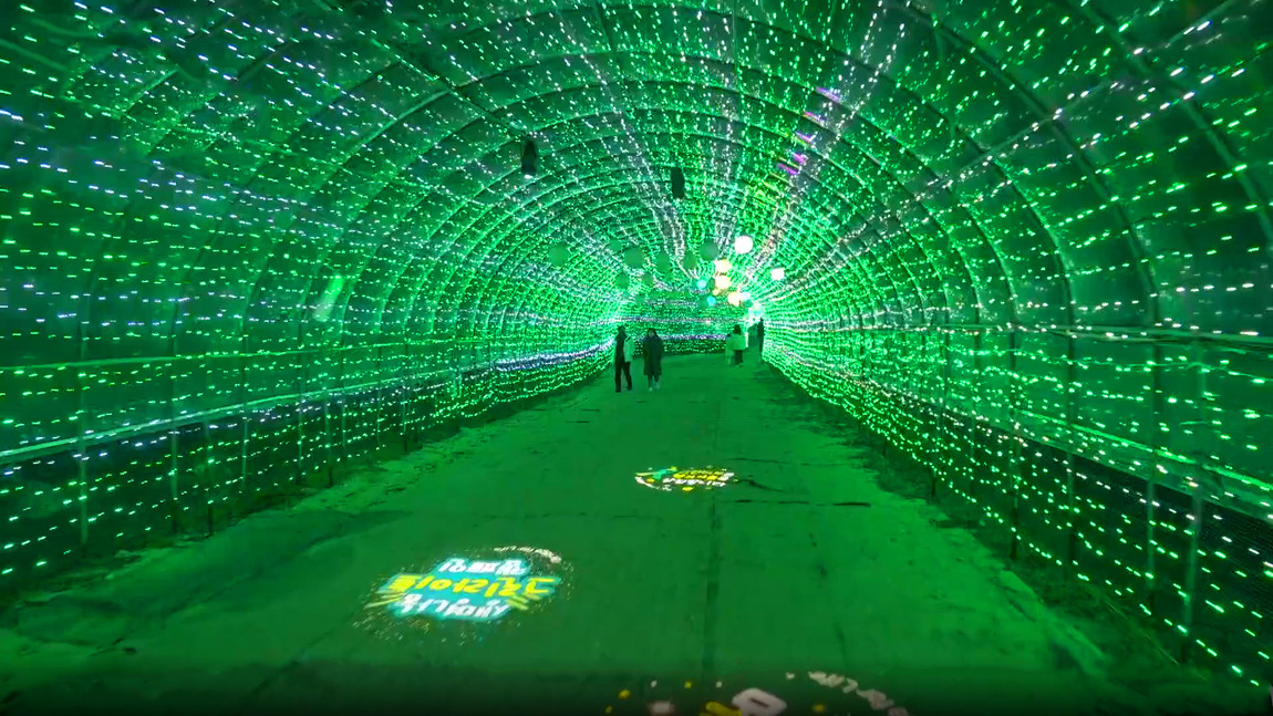 봄 빛 축제 서울근교 4곳