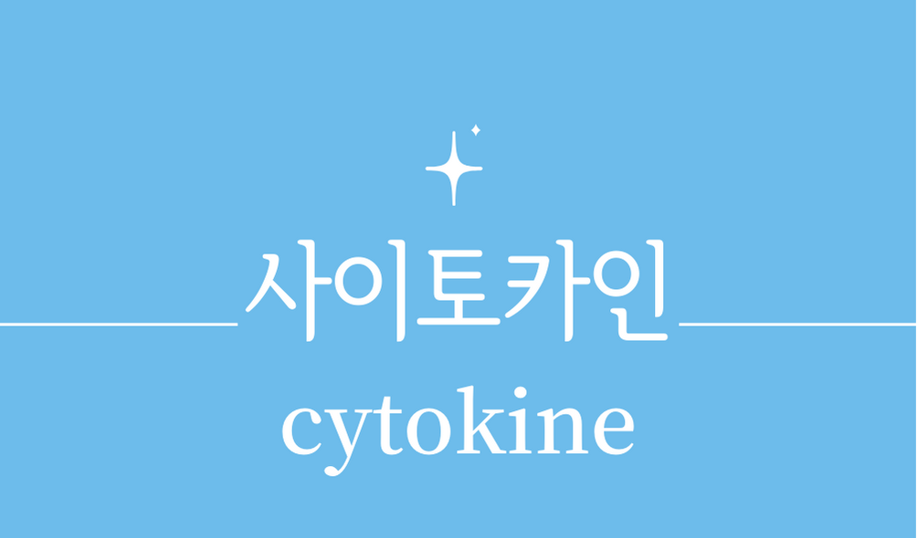 '사이토카인(cytokine)'기능,역할,중요성,질환,면역반응