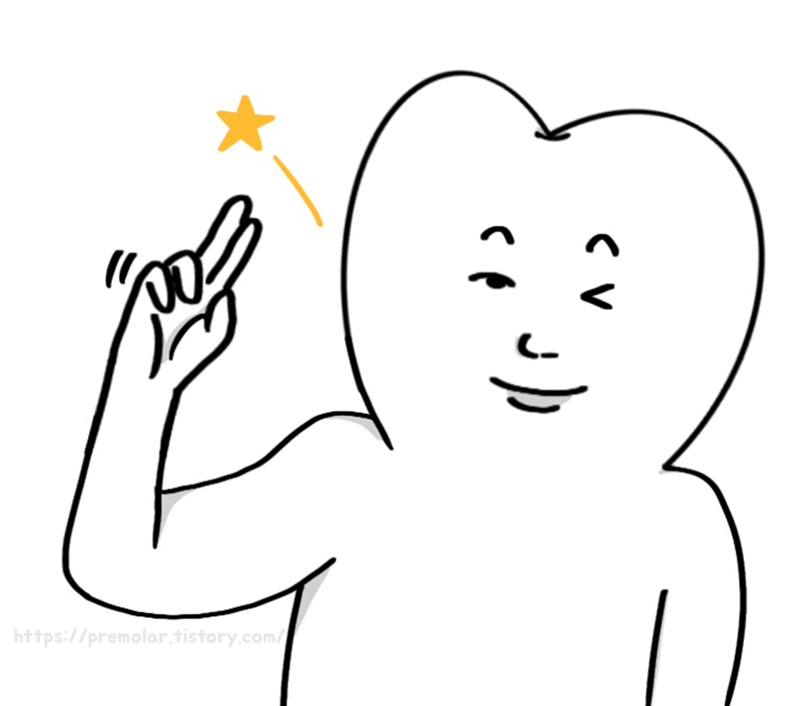 치아 이름 치아 번호 치아 종류 등 기초 치아 지식에 대해 알아보아요