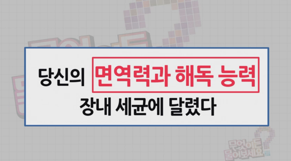 무엇이든 물어보세요 면역염증수명까지 좌우하는 장내 세균 관리법