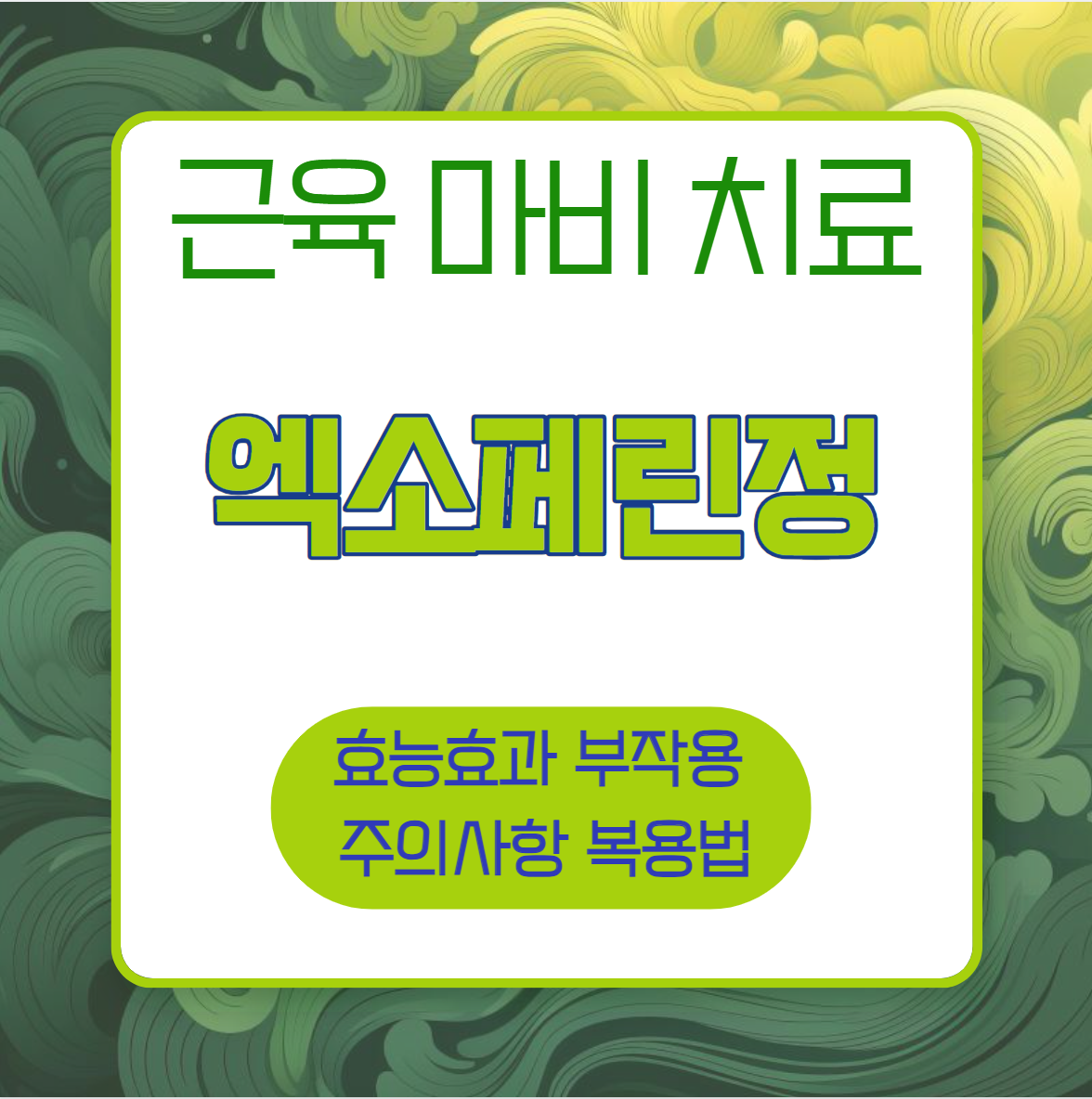 엑소페린정 부작용 효능 효과 주의사항 복용법