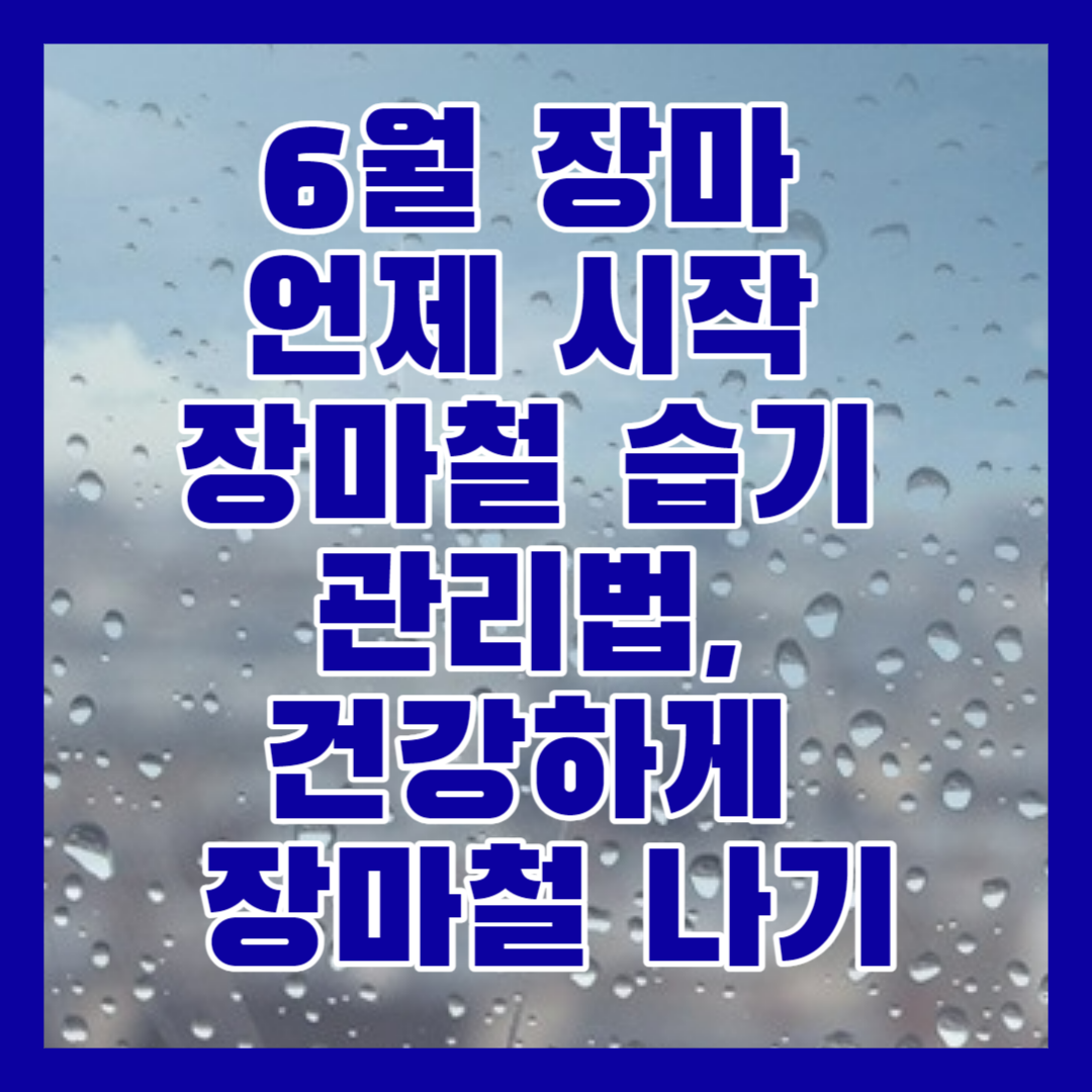 6월 장마 언제 시작 장마철 습기 관리법 건강하게 장마철 나기
