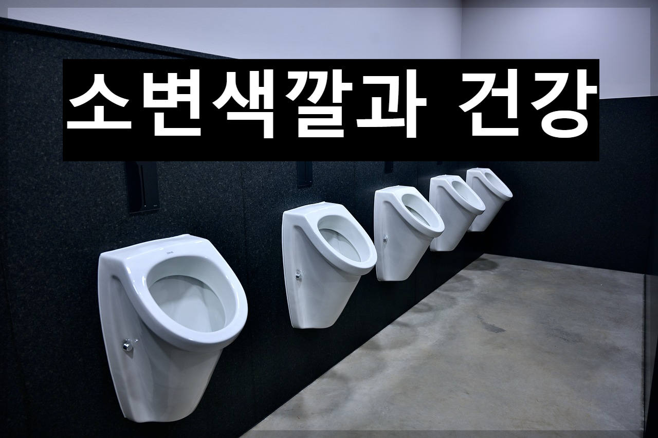 오줌 색깔소변 색깔로 보는 건강