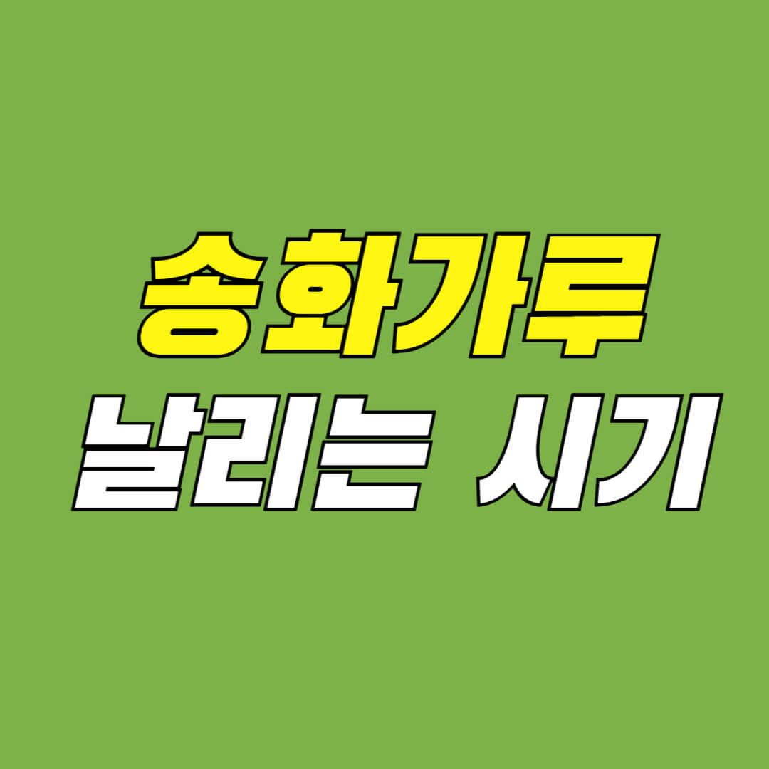 송화가루 날리는 시기 대처방법 및 청소방법 알아보기