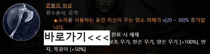 디아블로4 원소술사 화염 위상 화염 위상 추천 And 얻는 방법 극딜 화염술사