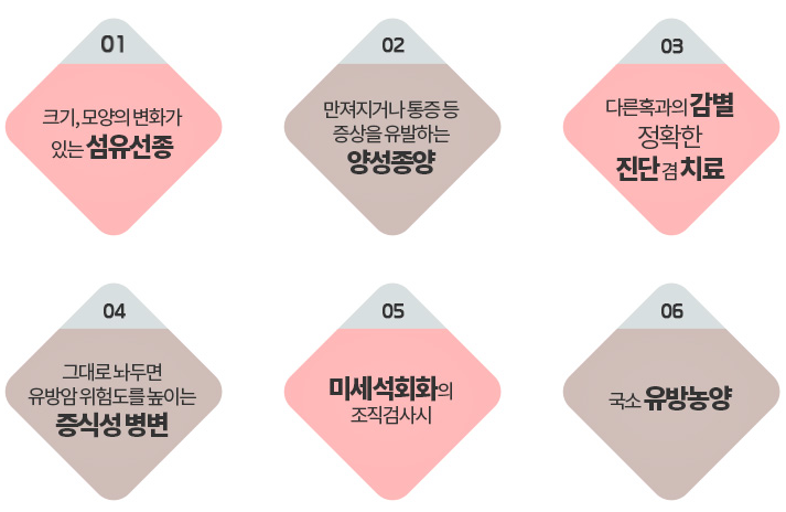 맘모톰 수술 비용 실비 맘모톰 후기유방 섬유선종 머니왕 코주부