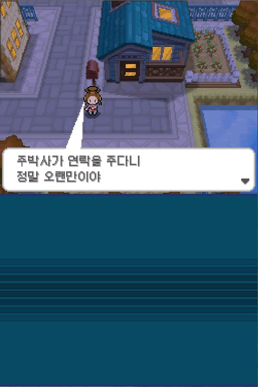 닌텐도 Ds Nds 포켓몬스터 화이트 2 한글판
