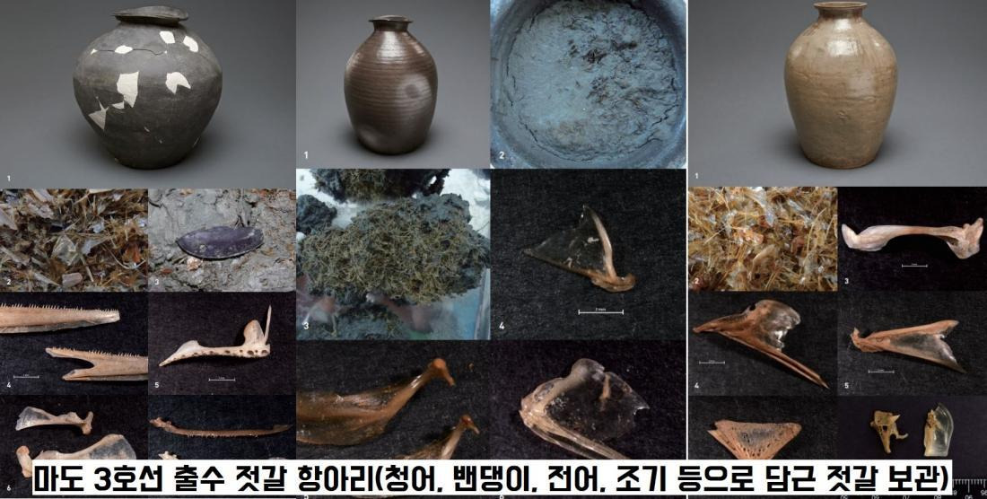 갯벌 속 고려선박 건졌더니 ‘800년 된 붉은색 곶감 꾸러미가 올라왔다