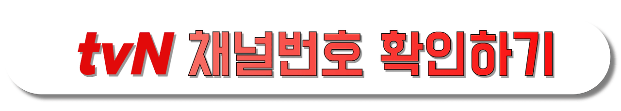 tvn 편성표 및 채널번호 알아보기