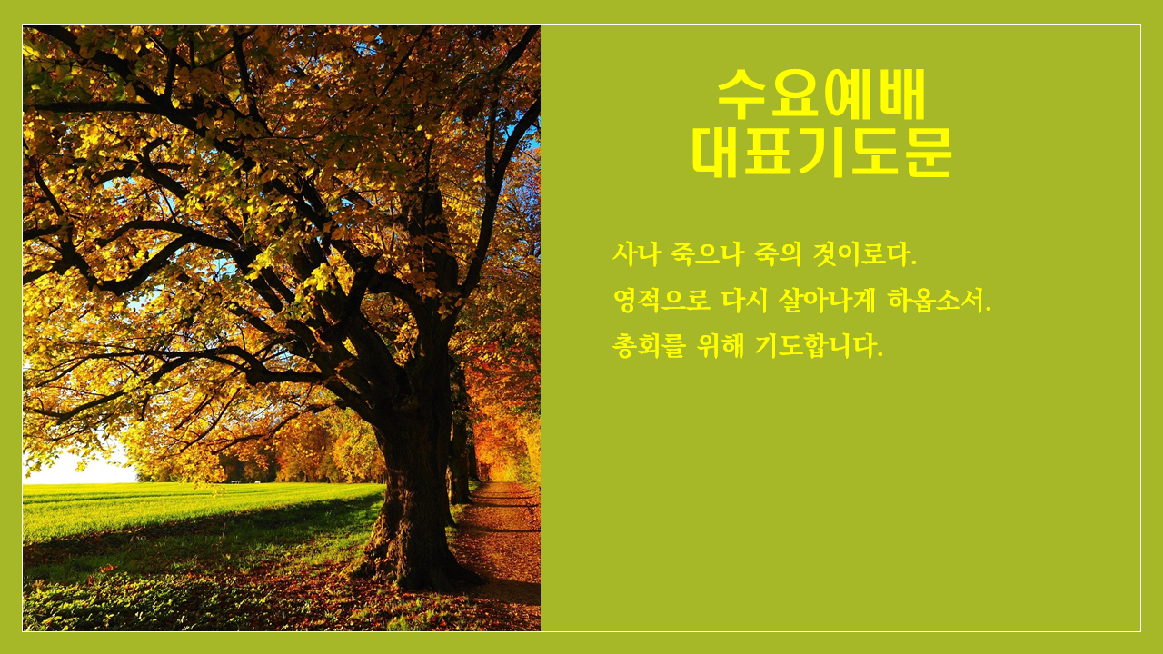 수요예배 대표기도문 11월 총회를 위한 기도