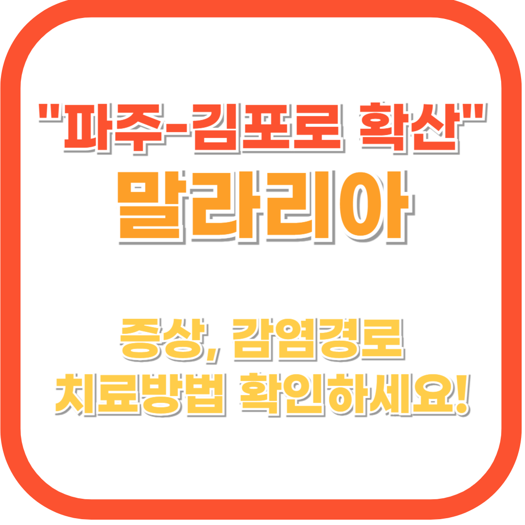 파주 김포까지 경보 말라리아 증상과 감염경로 치료법 미리 확인하세요