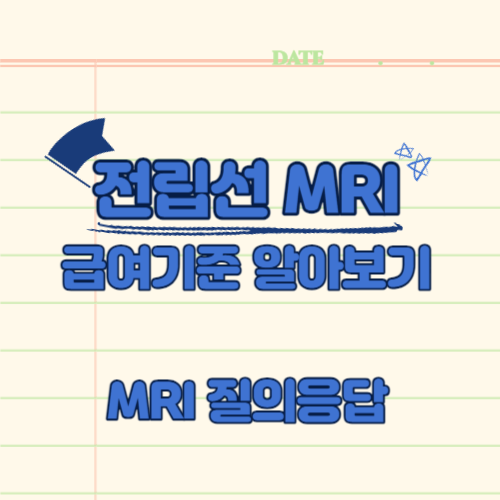 전립선 Mri 급여기준 알아보기 Mri Qanda