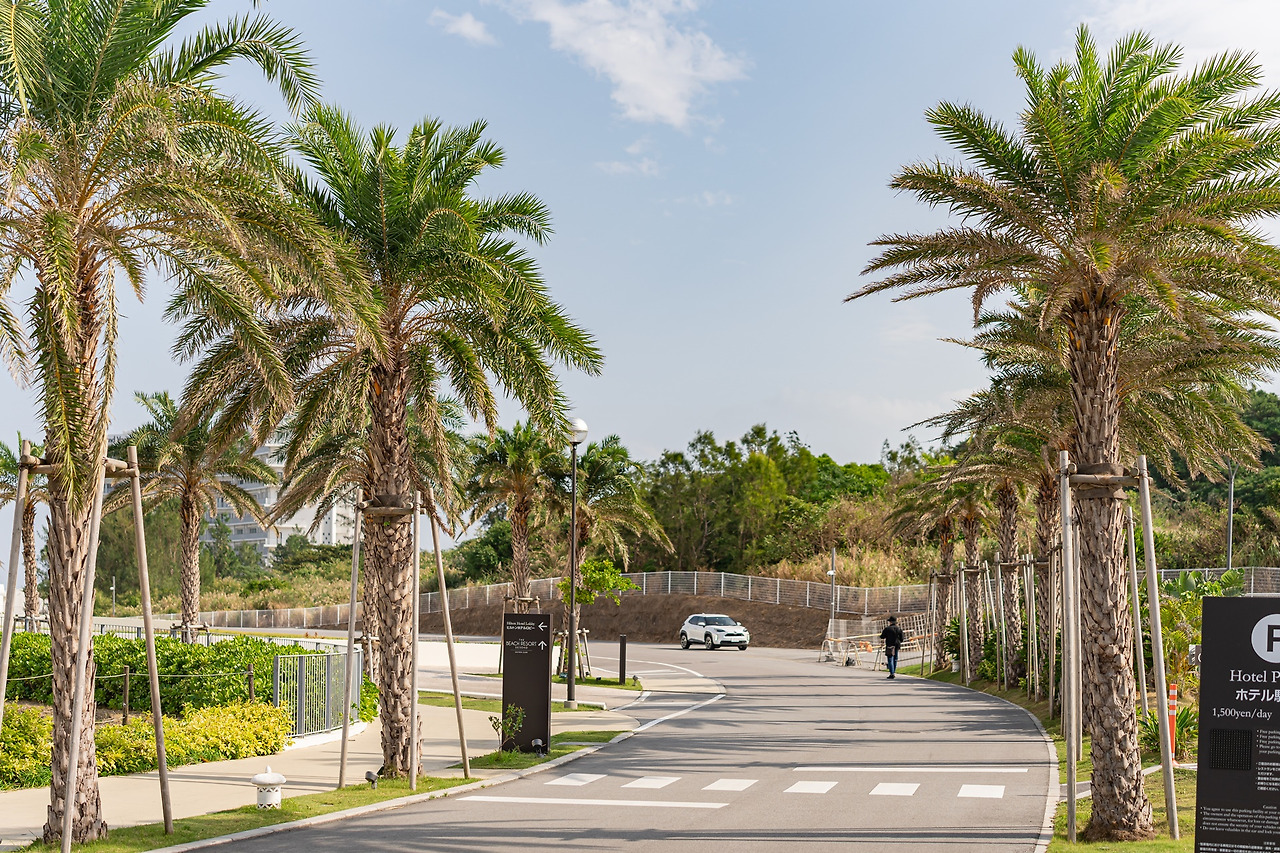 오키나와 세소코 섬의 리조트 호텔 힐튼 오키나와 세소코 리조트hilton Okinawa Sesoko Resort