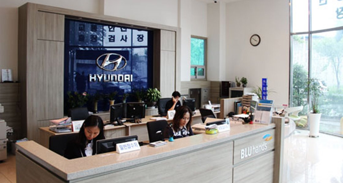 종합 블루핸즈 전문 블루핸즈 차이점 1급 블루핸즈 찾는 방법