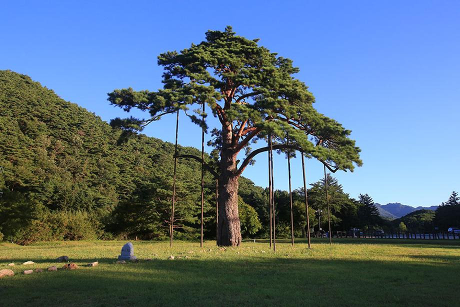 보은충청북도 여행을 계획하기 위한 관광지도
