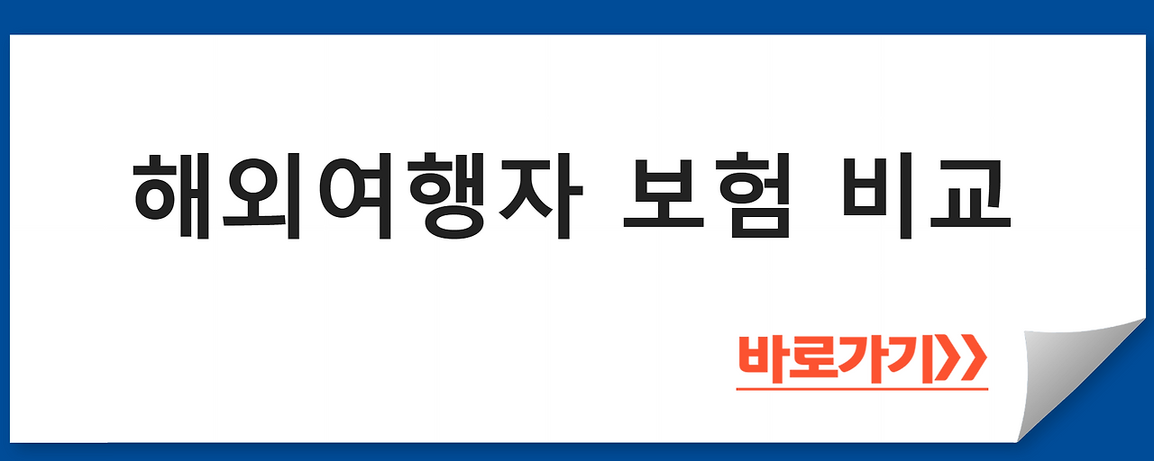 해외여행 전 필수 해외여행자 보험 가입 방법과 보장 내용 정리 보험 알리미
