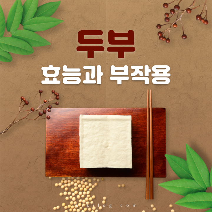 두부 칼로리 다이어트 방법 효능 부작용 알아보기