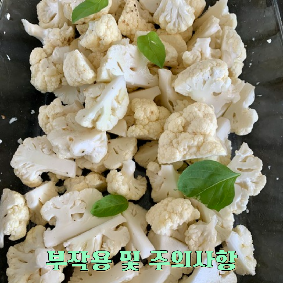 콜리플라워 효능 성분 먹는방법 부작용