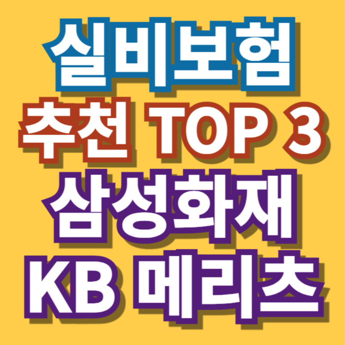 실비보험 추천 Top 3 삼성화재 Kb 메리츠 분석 비교