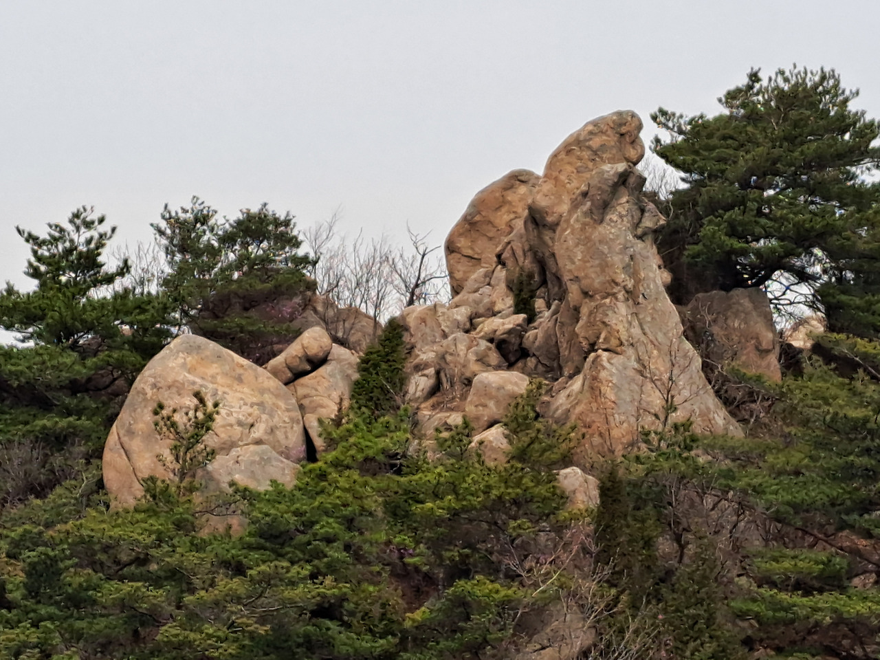 관악산 자운암능선 등산코스 정보자운암능선 연주대 사당능선