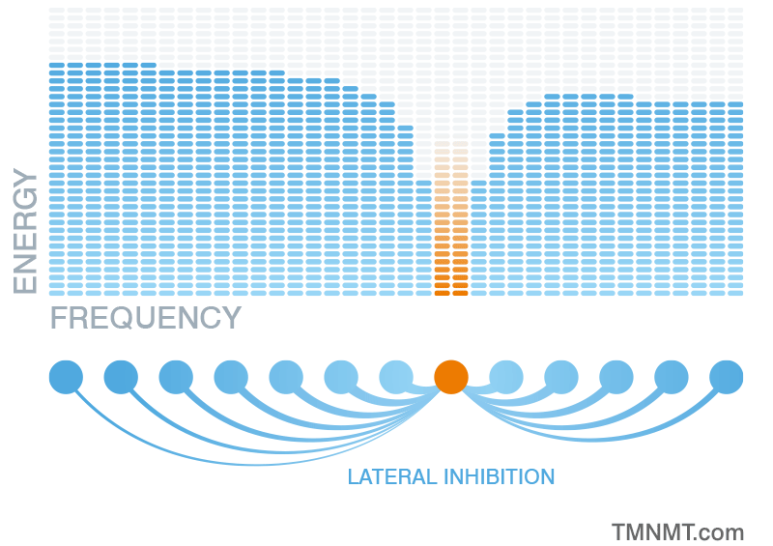 테일러 맞춤형 노치 음악 훈련법