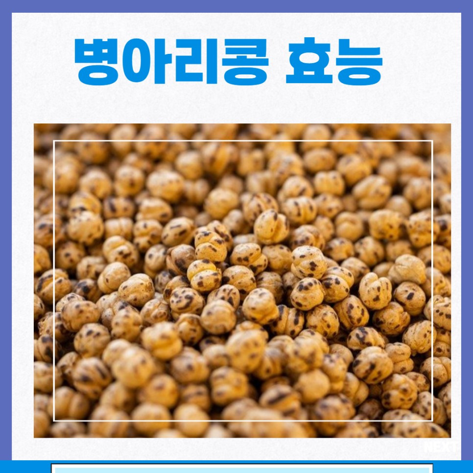 병아리콩 효능 부작용 칼로리 병아리콩 먹는법