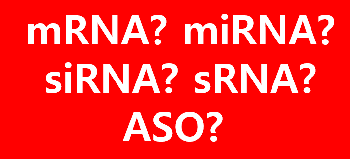 mRNA, miRNA, siRNA, sRNA, ASO의 차이점 총정리
