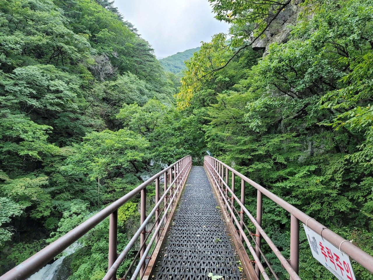 충북 단양 가볼만한곳 단양강 잔도길 이끼터널 소백산 희방폭포 당일치기