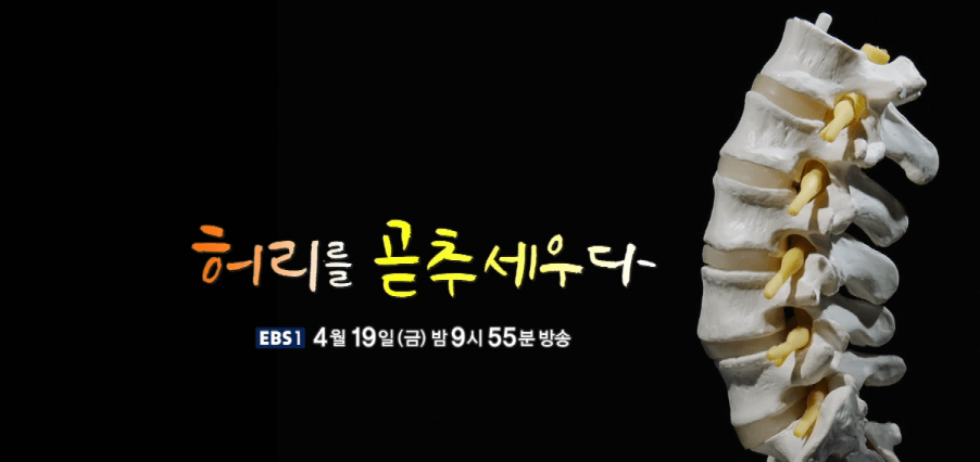 Ebs 명의 허리를 곧추세우다 척추관 협착증과 정형외과 김용찬 교수님