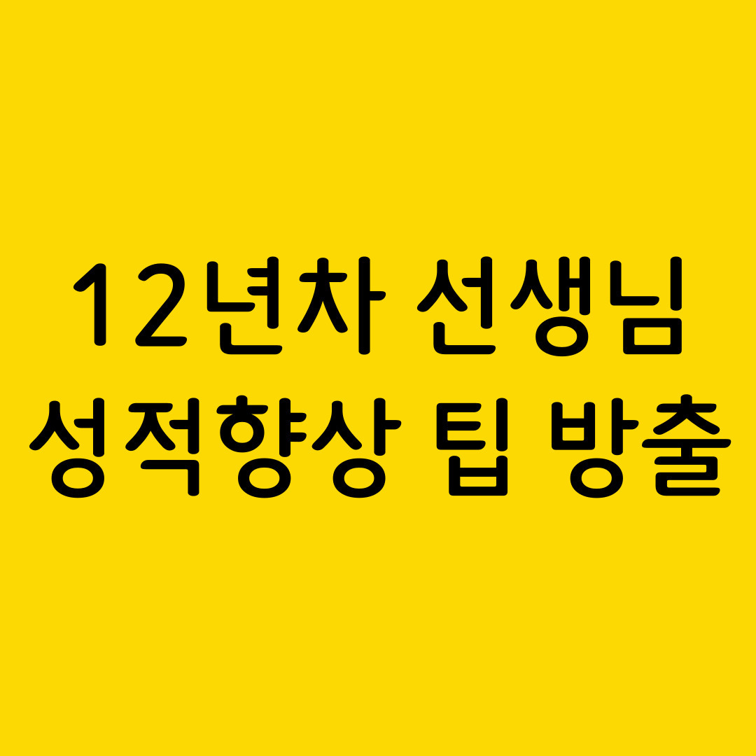 안림동 겨울방학 국어과외 수학과외 영어과외 중학생 고등학생 선행 복습 내신