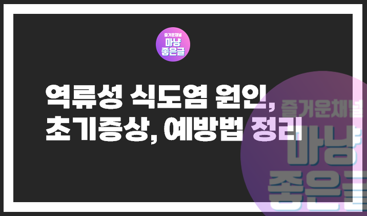역류성 식도염 원인 초기증상 통증 진단 기침 좋은음식 좋은차 치료 예방방법 총 정리