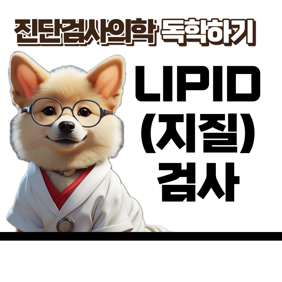 Lipid 검사지질검사 총콜레스테롤ldlhdltg중성지방 정상수치 콜레스테롤검사검사 방법