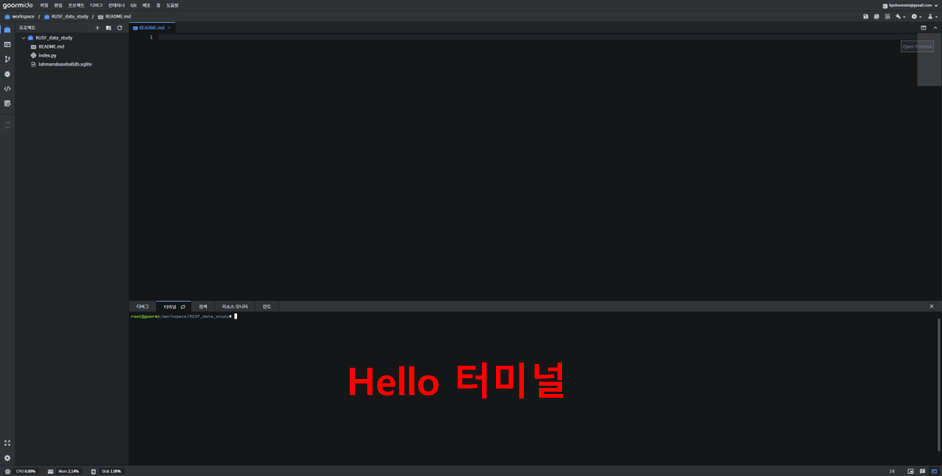 [구름IDE] 컨테이너 실행했는데 하단에 터미널이 안 보이는 경우 by bskyvision.com
