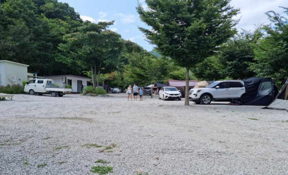 경기 포천 담터금학 캠핑장 예약 방법 애견 동반 가격 주소 시간 후기 댕댕캠핑 전국 애견동반 캠핑장