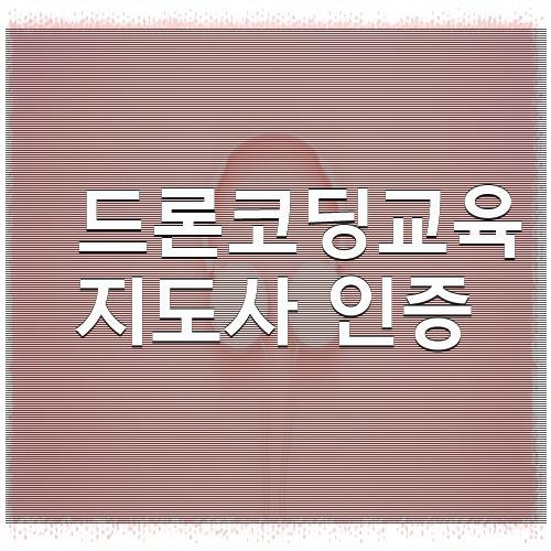 드론코딩교육지도사 인증