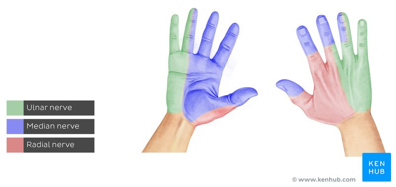 신경전도검사 Ulnar Nerve척골신경 검사방법 피할 수 없으면 즐기자