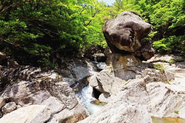 지리산 등산코스 베스트 5 : 소요시간, 난이도와 지도 확인하기