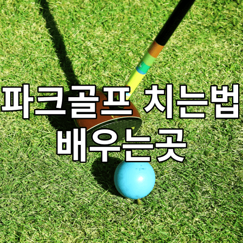 파크골프치는법 과 배우는 곳