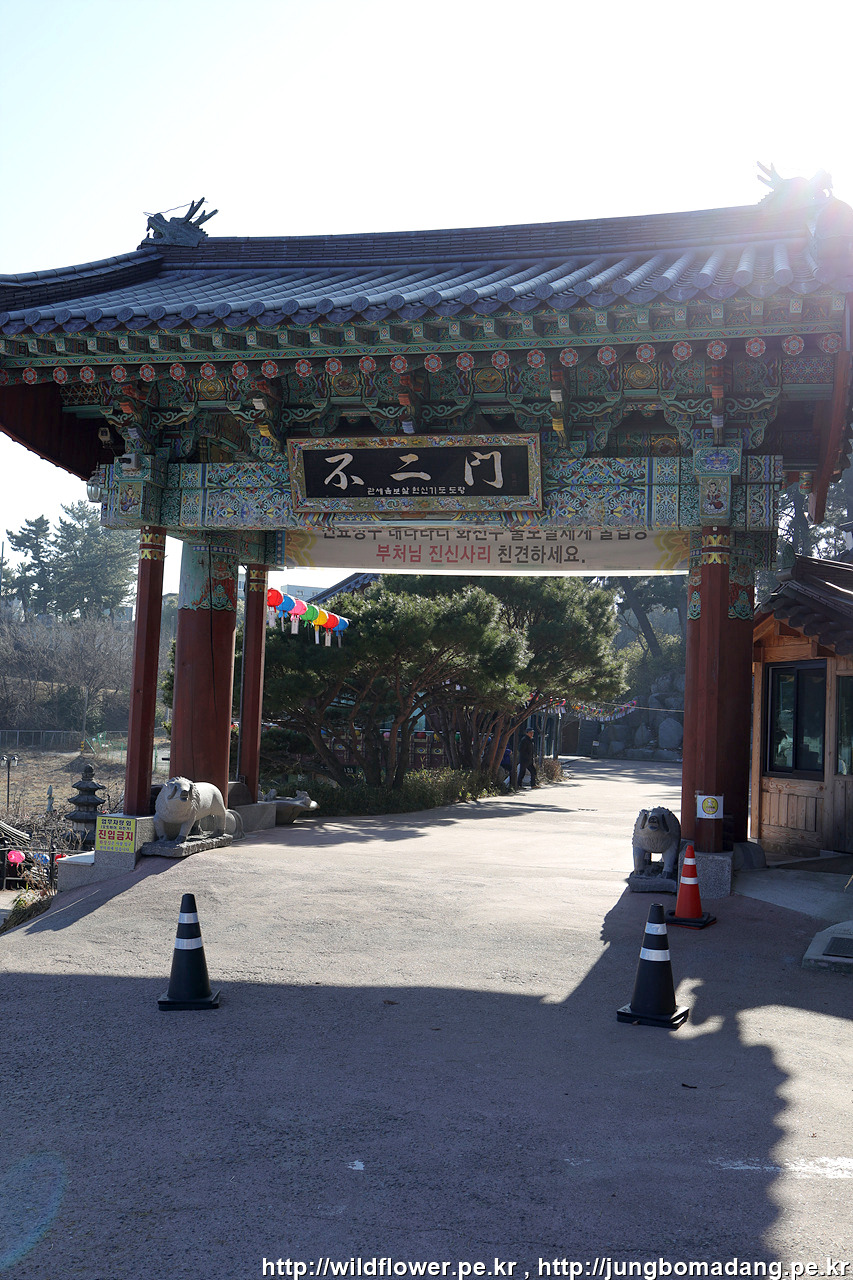 강원도 양양 휴휴암 기사문해변 삼팔횟집 하조대해변 대중교통 당일치기 여행 2023 12 29
