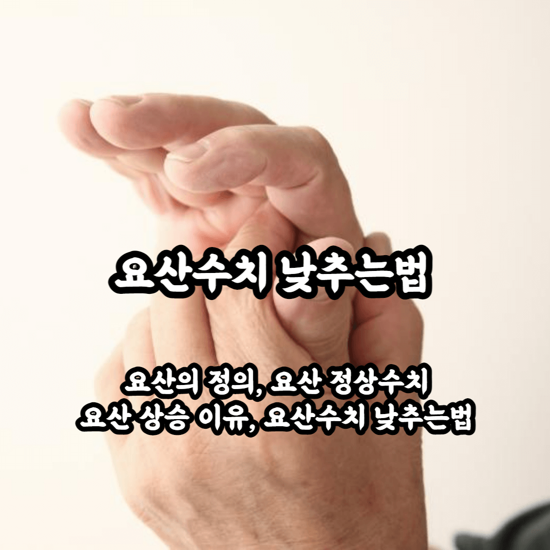 요산수치 낮추는법 요산 특징과 정상수치 높아지는 이유 요산수치 낮추는법 까지 한꺼번에 알아보자