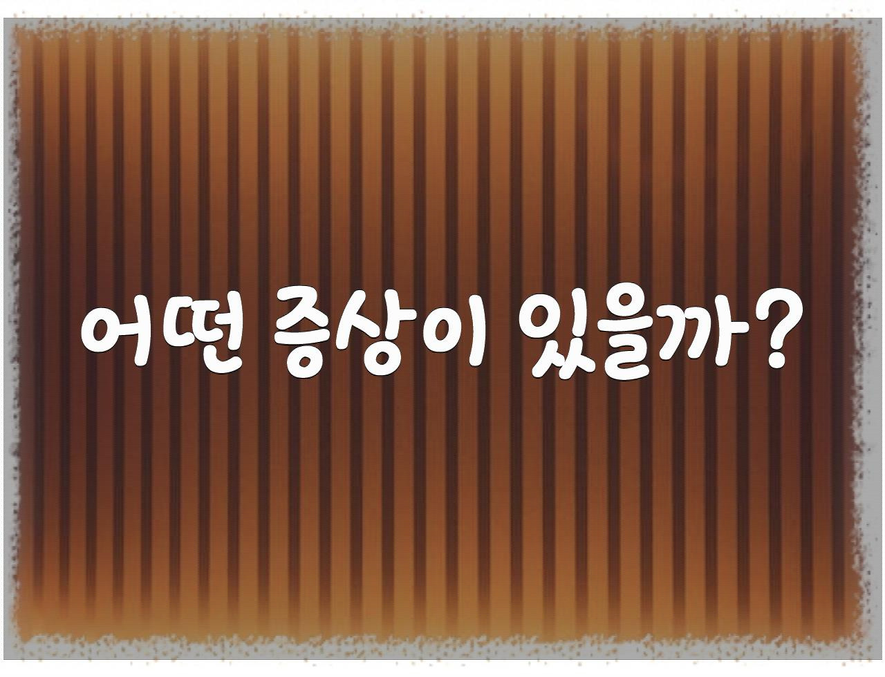 무릎 인대와 반월판 손상 중요설명