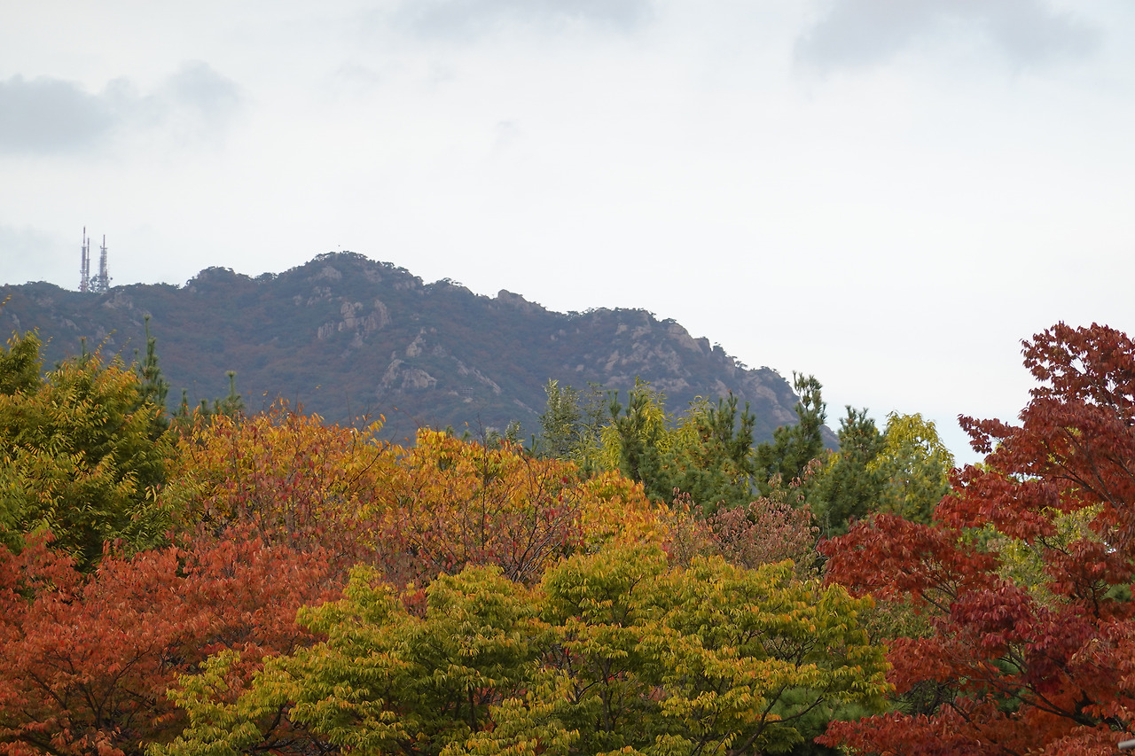 [20231022]안양 학운공원 단풍과 관악산