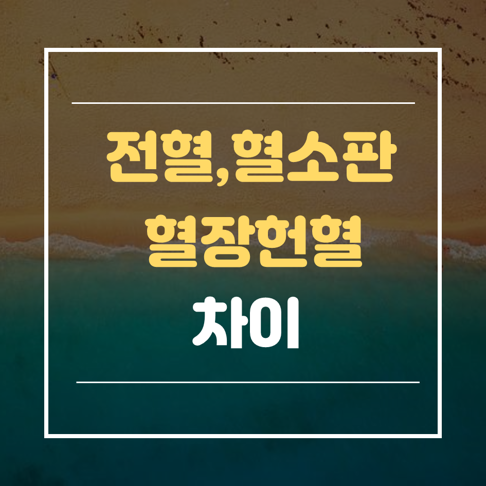 전혈 혈소판 혈장헌혈의 차이