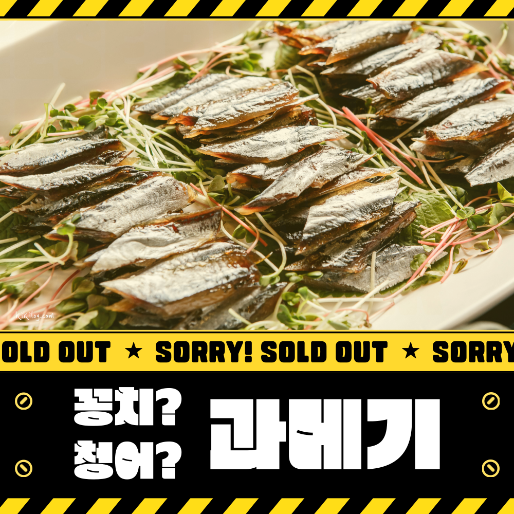 과메기의 모든 것 꽁치 청어 차이점 보관 방법 잘 고르는 법