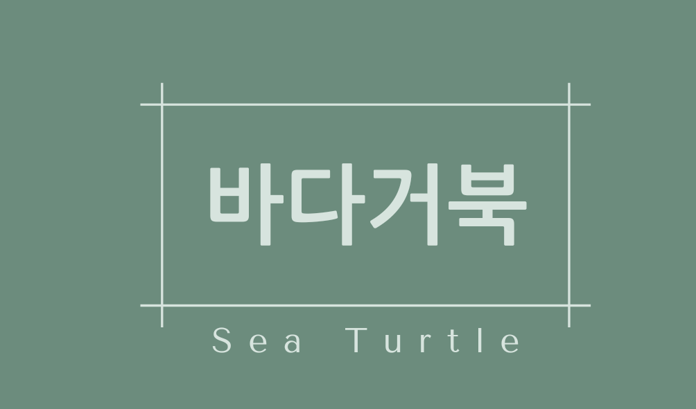 바다거북sea Turtle특징서식지종류천적수명몸무게꿈해몽